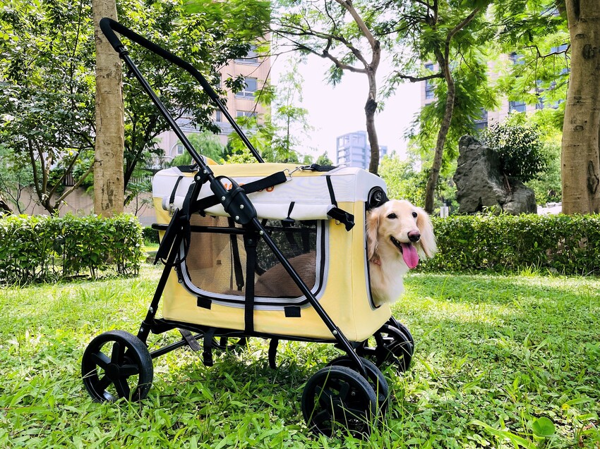 【摸肚肚MODODO】GOGOBOX小立方寵物推車『小臘腸咪咪』狗生第一台『豪華推車』！毛小孩外出散步必備|生活娛樂|WalkerLand窩客島