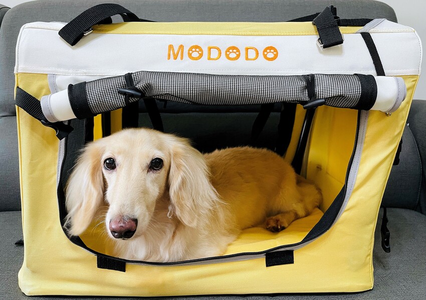 【摸肚肚MODODO】GOGOBOX小立方寵物推車『小臘腸咪咪』狗生第一台『豪華推車』！毛小孩外出散步必備|生活娛樂|WalkerLand窩客島