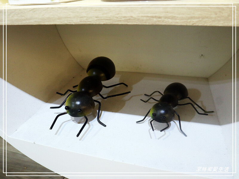 螞蟻帝國-桃園龜山/竟然可以養螞蟻!探索多采多姿的蟻國世界|旅遊|WalkerLand窩客島