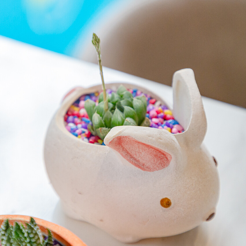 高雄市前金區天使與惡魔園區開幕！高雄最療癒的寵物互動樂園！|旅遊|WalkerLand窩客島