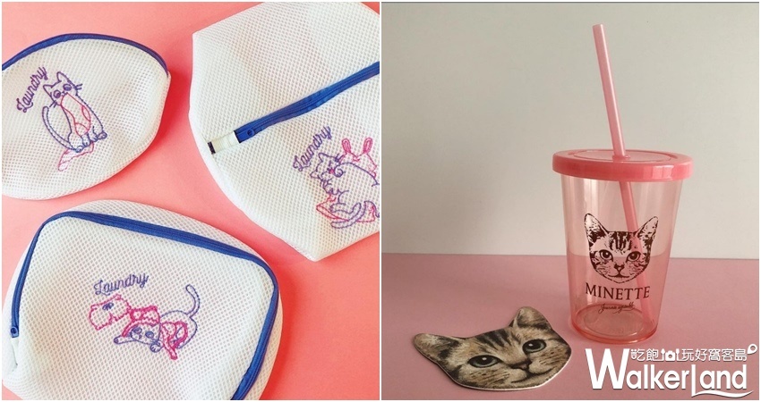 日雜控衝了！日本超夯百元商店「CAN☆DO」獨家快閃京站，均一價49元萌物讓你整家店都想包下來。|美食|WalkerLand窩客島