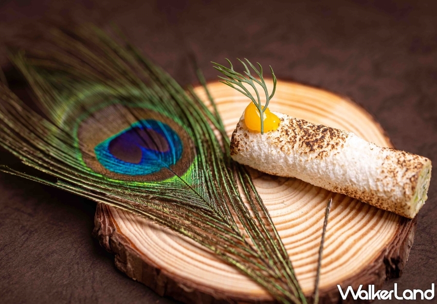 老饕必吃野味！堪稱最難訂餐廳「Sinasera 24」推出「法式野味時令菜單」，蜂蛹、蛇肉、孔雀肉，翻轉野味肉食刻板印象。|美食|WalkerLand窩客島