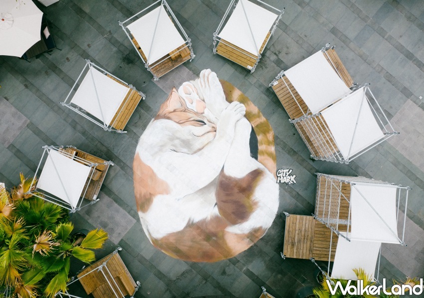 台中人玩水嗨起來！草悟系七月半「夏日大噴發」2天快閃登場，超巨型水樂園、市集、音樂派對打造台中人最CHILL週末。|旅遊|WalkerLand窩客島