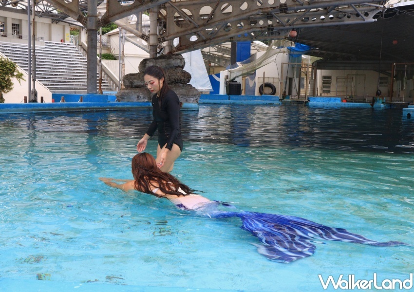 美人魚養成訓練班！花蓮遠雄海洋公園推出「美人魚潛水」手把手教學體驗，再加碼5大玩法「鯊魚互動、鯉魚潭SUP」夏天玩水先衝。|旅遊|WalkerLand窩客島