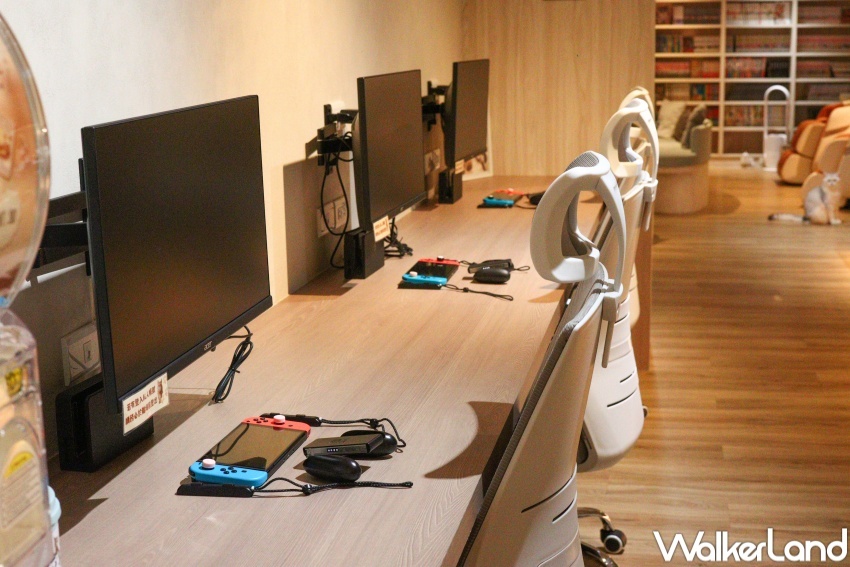 貓家就是你家！北車隱藏版「貓珈Nekocoffee」開幕洗版IG，擼貓還能躺床追劇、按摩椅、打Switch當自己家。|美食|WalkerLand窩客島