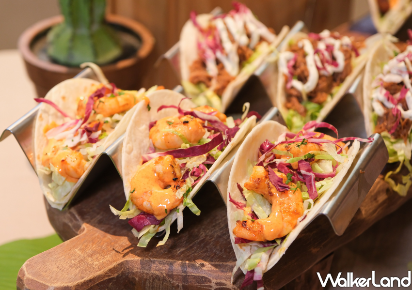 299元喝到飽！金色三麥全新「SPORTS NATION」酒精交易所微醺喝起來，「299元喝到飽」20款特調、啤酒衝大巨蛋喝。|美食|WalkerLand窩客島