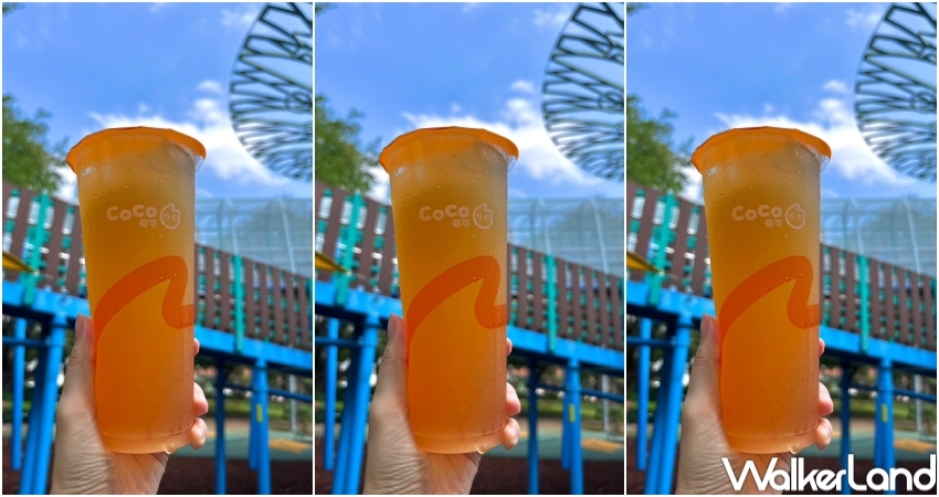 2024 CoCo都可推薦必喝！經典不敗CoCo百香雙響炮、奶茶三兄弟，CoCo人氣排行榜TOP 5不踩雷。|美食|WalkerLand窩客島