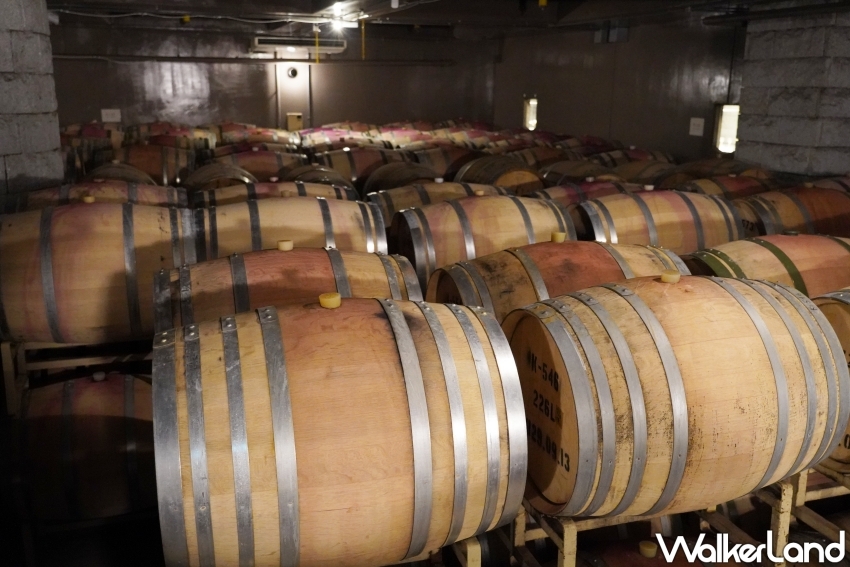 大分推薦景點18選！日本必去城市再加一，大分景點攻略搶先看。/ 旅遊 / Japan Walker