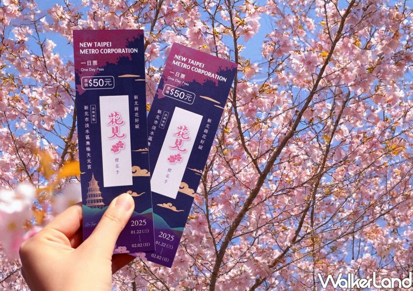 淡水天元宮櫻花季！全新日式櫻花屋免費拍，最佳賞花時間 接駁車整理。|旅遊|WalkerLand窩客島