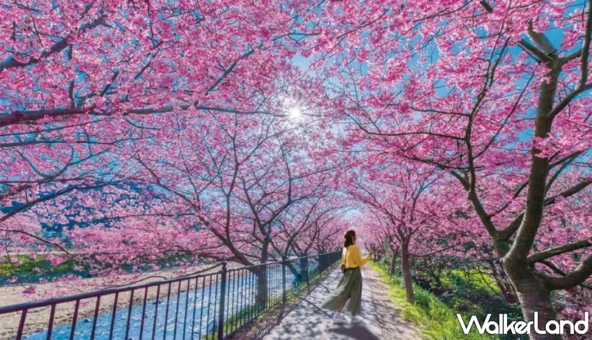 KKday買一送一！東京 大阪 首爾 釜山一日遊最低1,520元 機票6,999元。|旅遊|WalkerLand窩客島