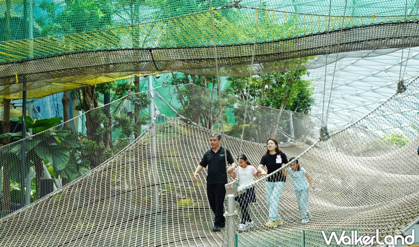 新加坡必訪景點！世界最大室內瀑布星耀樟宜，購物中心融合植物園。|旅遊|WalkerLand窩客島