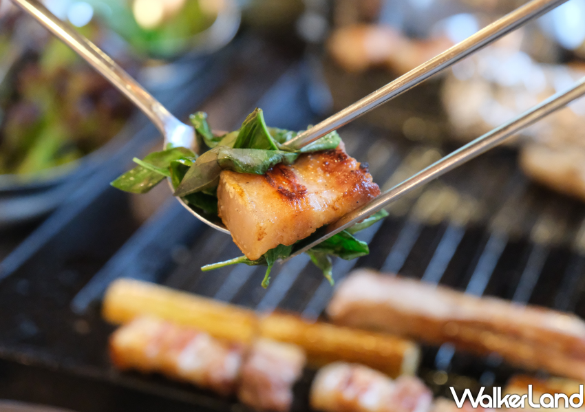 金豬食堂台北店菜單必看！600元開吃金豬食堂，發號碼牌時間整理。|美食|WalkerLand窩客島