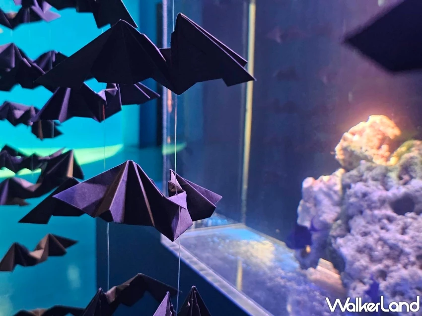 Xpark冬季限定戀愛物語登場！沉浸式光影展、海獅告白拿鐵與雙人套票開啟浪漫海洋約會。|旅遊|WalkerLand窩客島